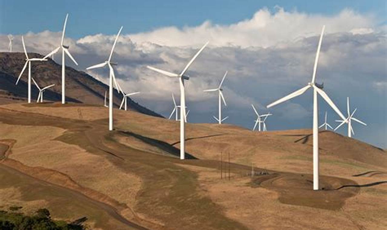 Renewable Energy Farms