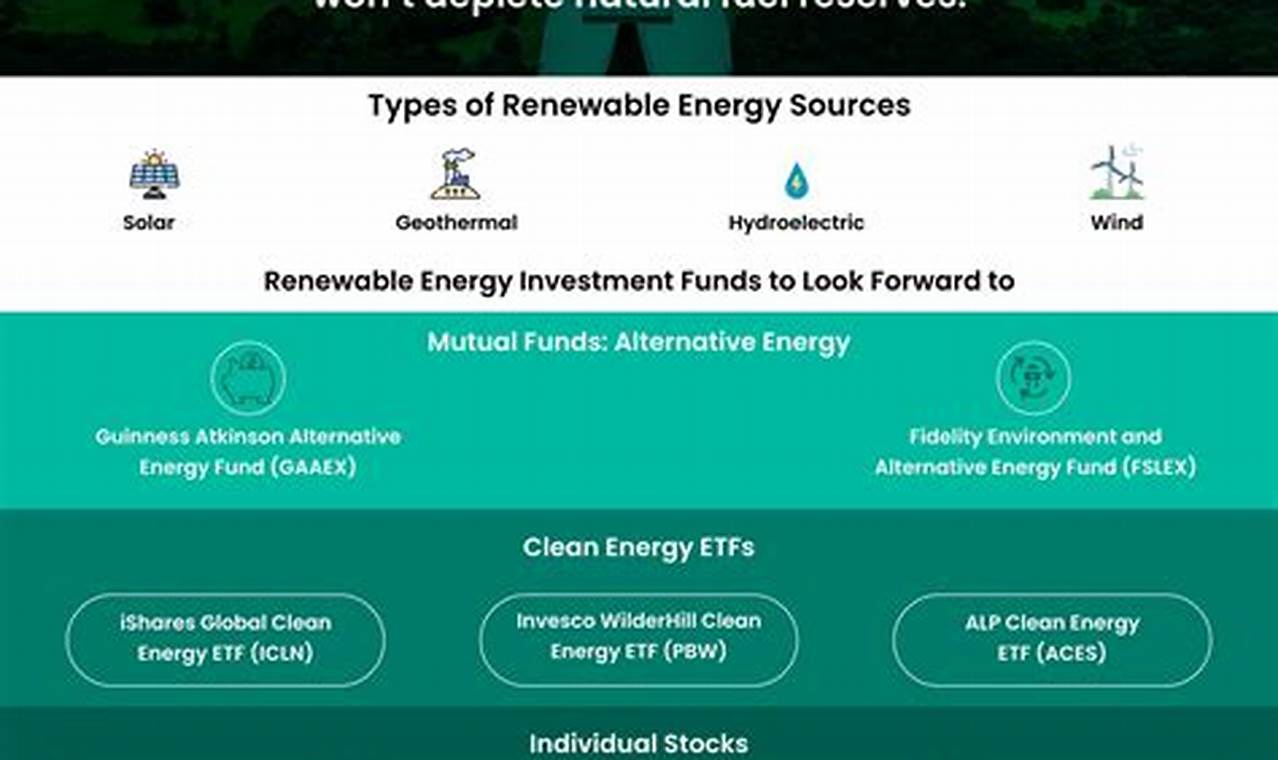 Top Renewable Energy Funds for 2024